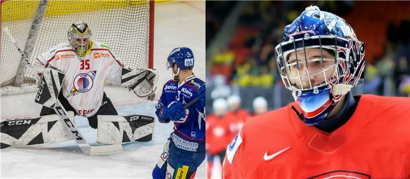 SwissHabs | Hockey suisse et international